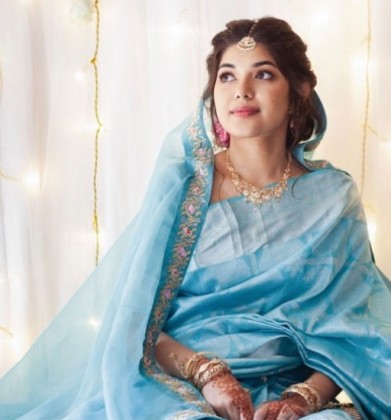 Bushra Afreen (Chief Heat Officer) Wiki/Bio, Age, Husband, Family & Photos